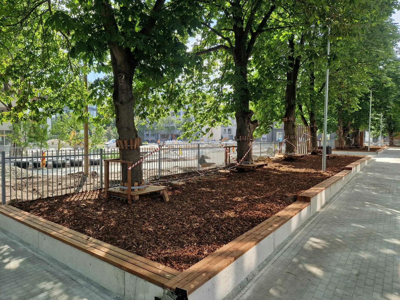 Gustav Adolfi Gümnaasiumi madalseiklusrada – Slackline.ee